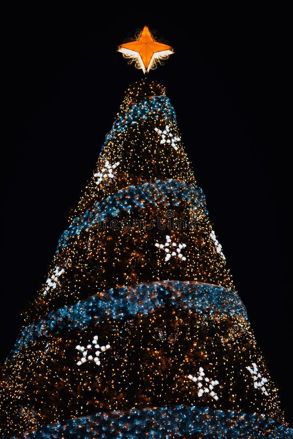 The National Christmas Tree at Night, in Washington, DC Stock Image ...