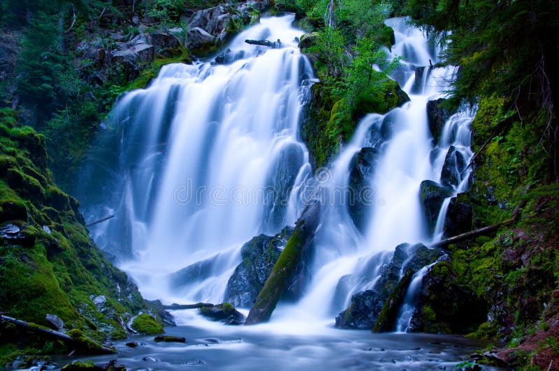 Oregon Cascade Mountains, Silver Falls State Park Stock Image - Image ...