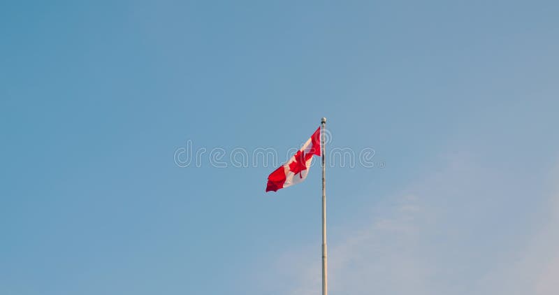 National Flag of Canada Also Known As the Maple Leaf. Red White Flag of ...