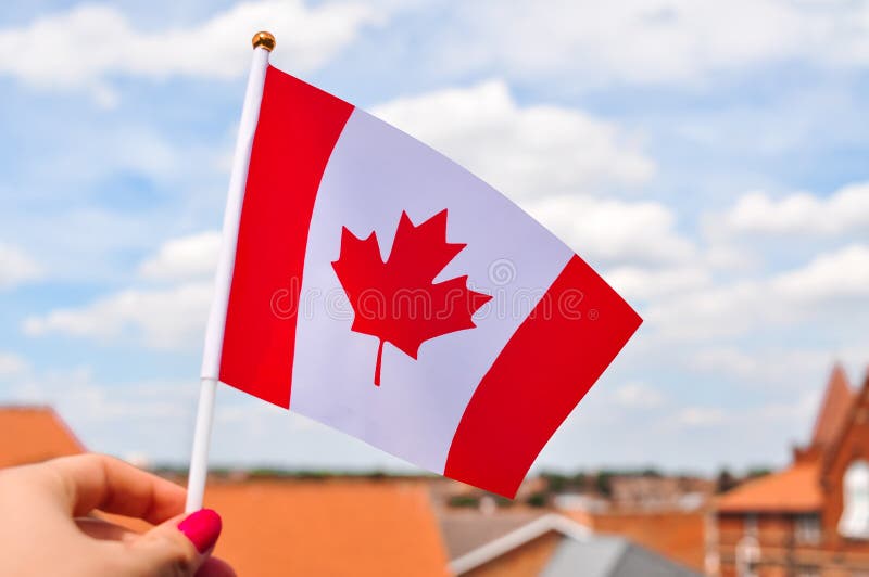 The National Flag of Canada Red Maple Leaf Red and White Colors Close ...