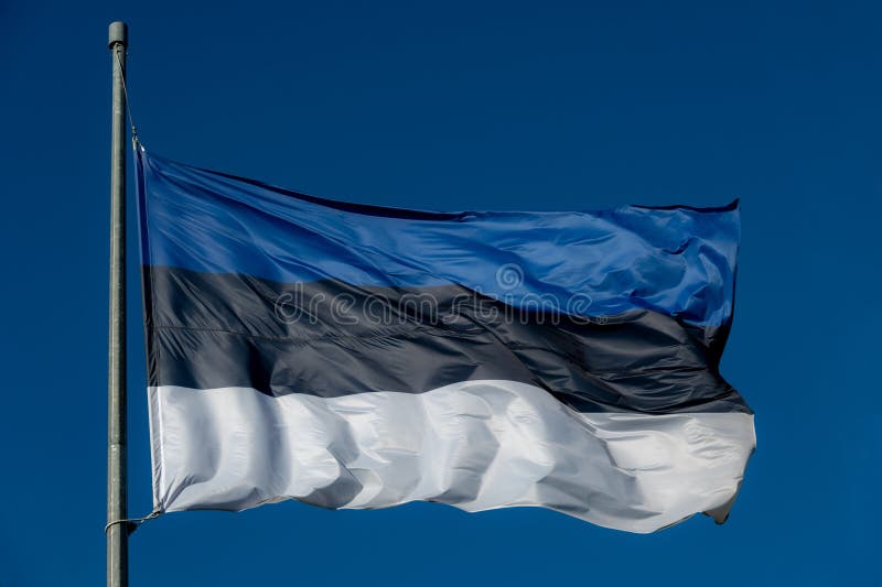 Estonian flag stock photo. Image of estonia, european - 322363374