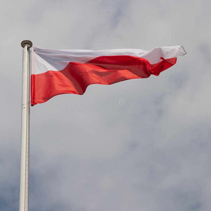 Polish Flag stock image. Image of white, flying, national - 202298559