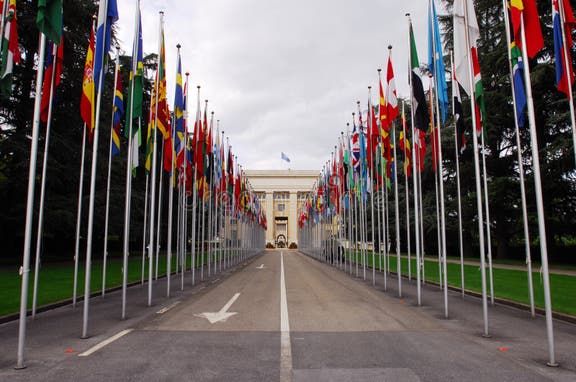 271 International Flags Trees Stock Photos - Free & Royalty-Free Stock ...