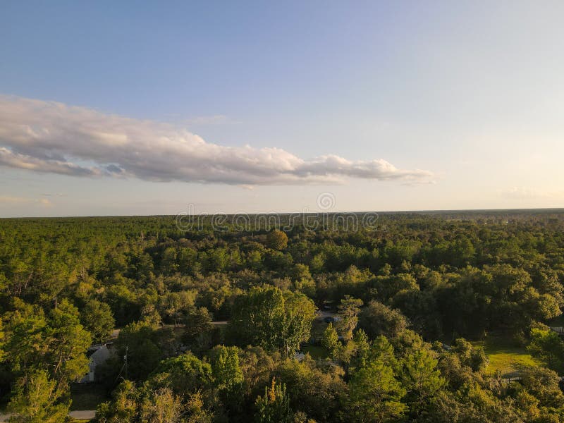 National Forrest scenery stock photo. Image of scenery - 230948710