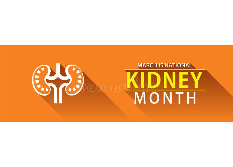 National Kidney Cancer Awareness Month. Orange Color Ribbon Isolated On ...