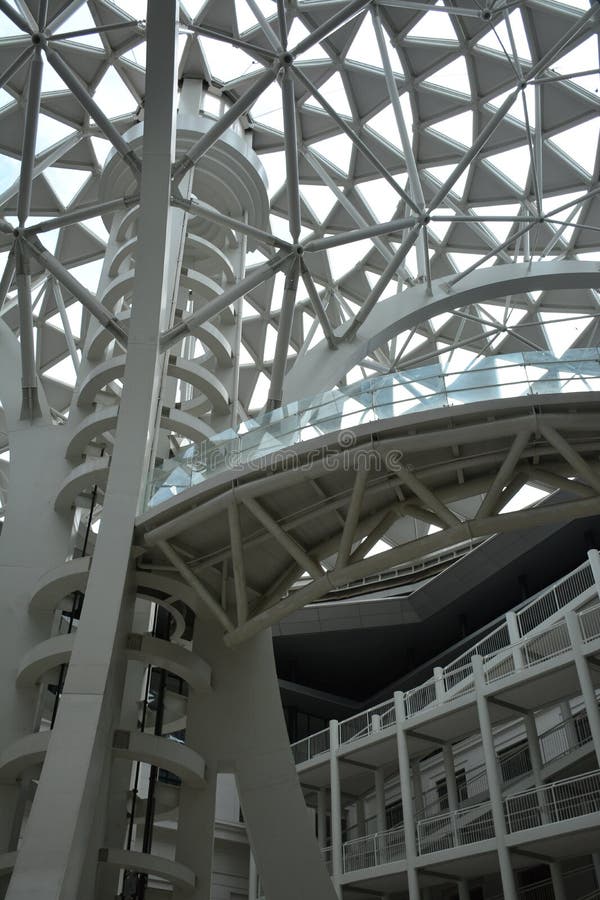 National Museum of Natural History Tree of Life Structural Design in ...