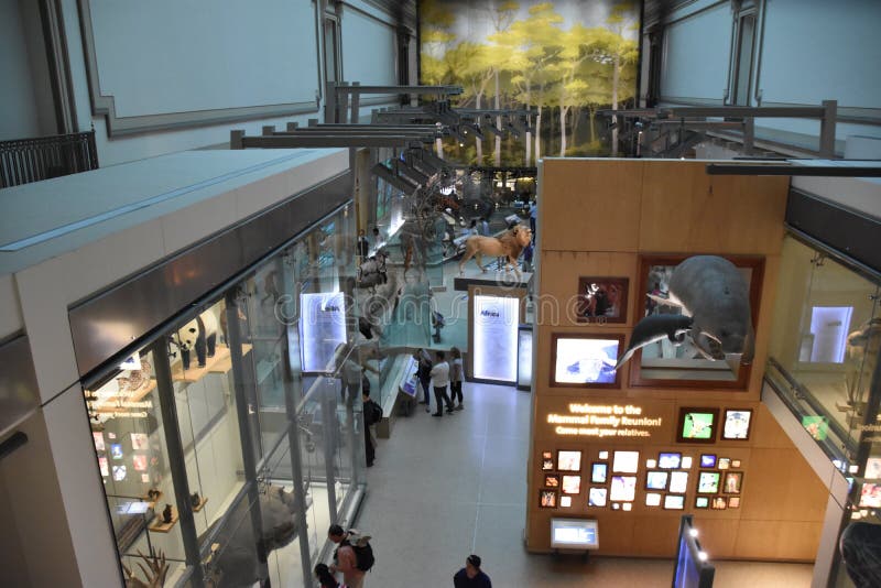 National Museum of Natural History in Washington, DC Editorial Stock ...