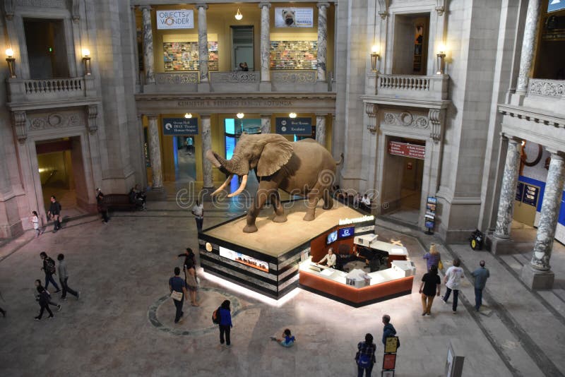 National Museum of Natural History in Washington, DC Editorial Stock ...