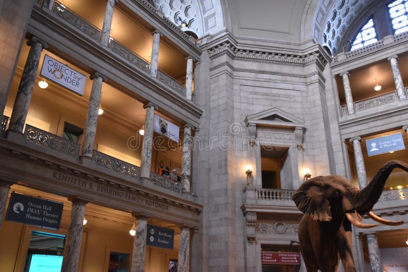 National Museum of Natural History in Washington, DC Editorial Photo ...