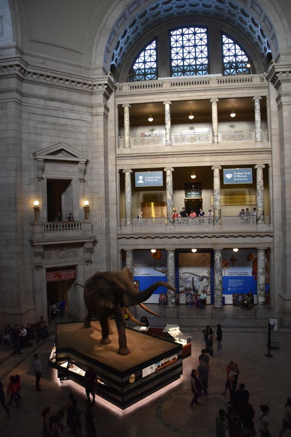 National Museum of Natural History in Washington, DC Editorial Stock ...