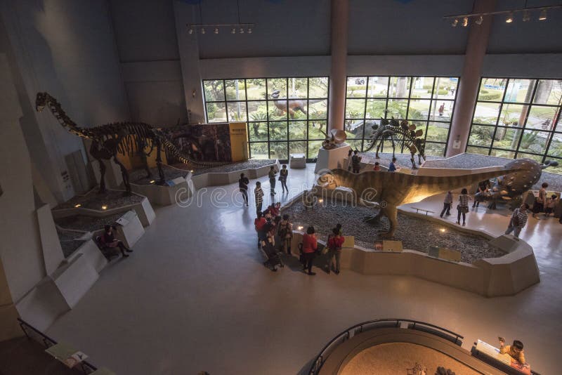 National Museum of Natural Science Editorial Stock Photo - Image of ...
