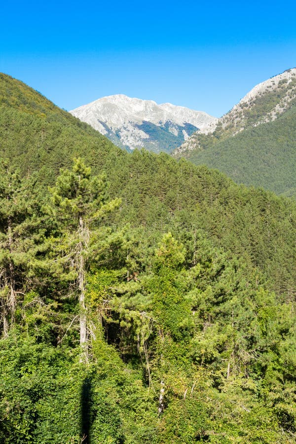 Civitella Alfedena National Park Abruzzo Italy Marsicano Mountain Stock ...
