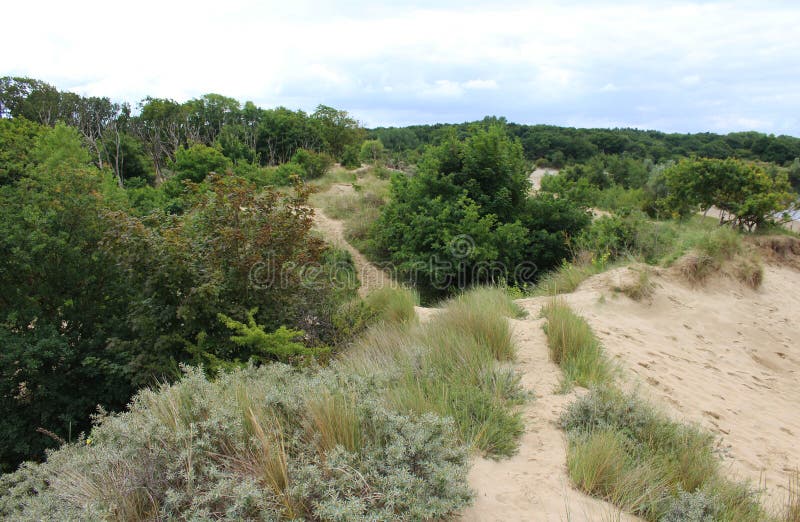 National Park Kennemerland Dunes Stock Photo - Image of north, jill ...