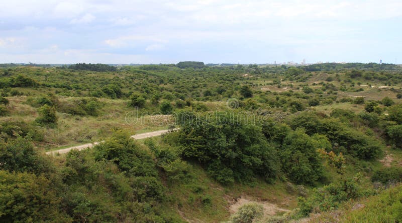 National Park Kennemerland Dunes Stock Image - Image of nationaal ...