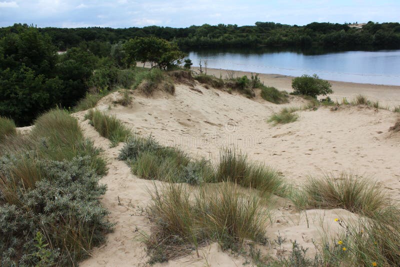 National Park Kennemerland Dunes Stock Photo - Image of nationaal ...