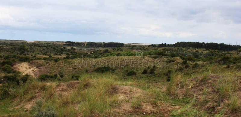 National Park Kennemerland Dunes Stock Photo - Image of nature, dark ...