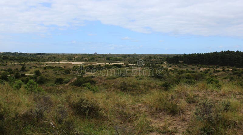 National Park Kennemerland Dunes Stock Photo - Image of netherlands ...