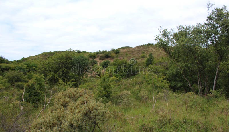National Park Kennemerland Dunes Stock Image - Image of clouds, autumn ...