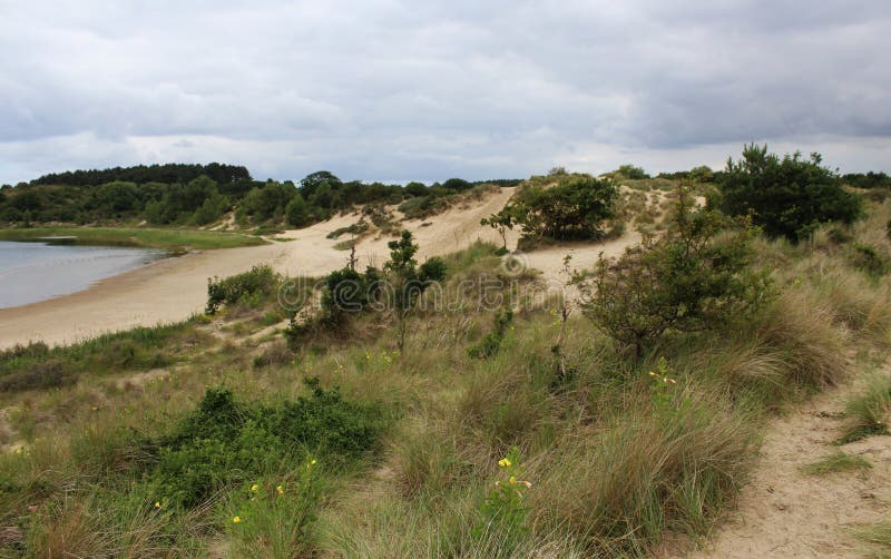 National Park Kennemerland Dunes Stock Image - Image of north ...