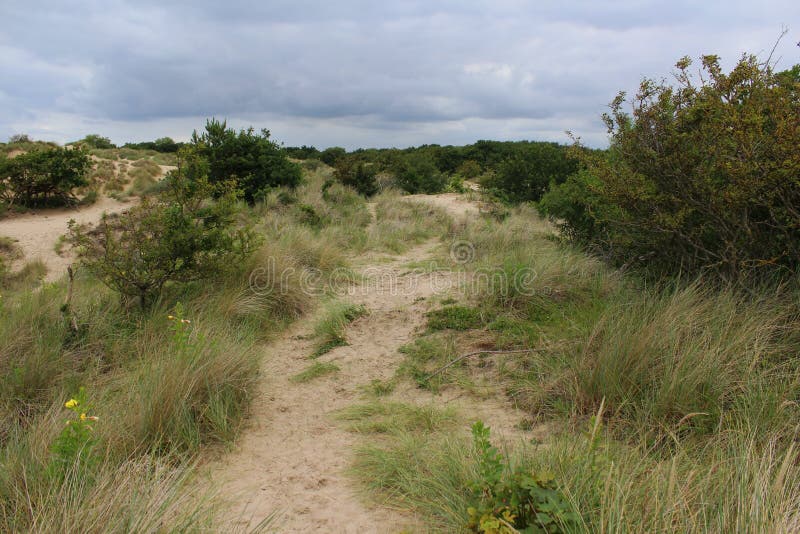 National Park Kennemerland Dunes Stock Image - Image of grasses ...