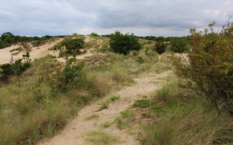 National Park Kennemerland Dunes Stock Photo - Image of light, autumn ...