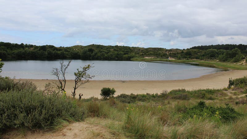 National Park Kennemerland Dunes Stock Photo - Image of netherland ...