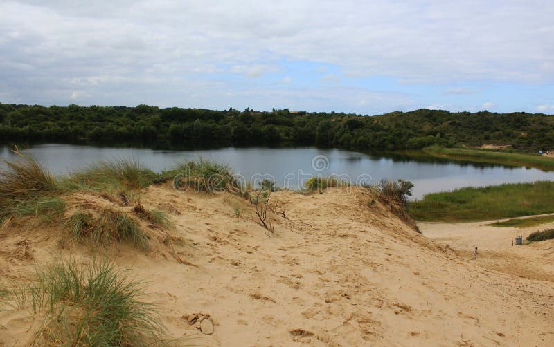 National Park Kennemerland Dunes Stock Image - Image of forests ...