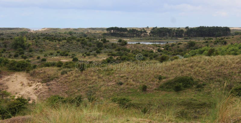 National Park Kennemerland Dunes Stock Photo - Image of dunes, nature ...