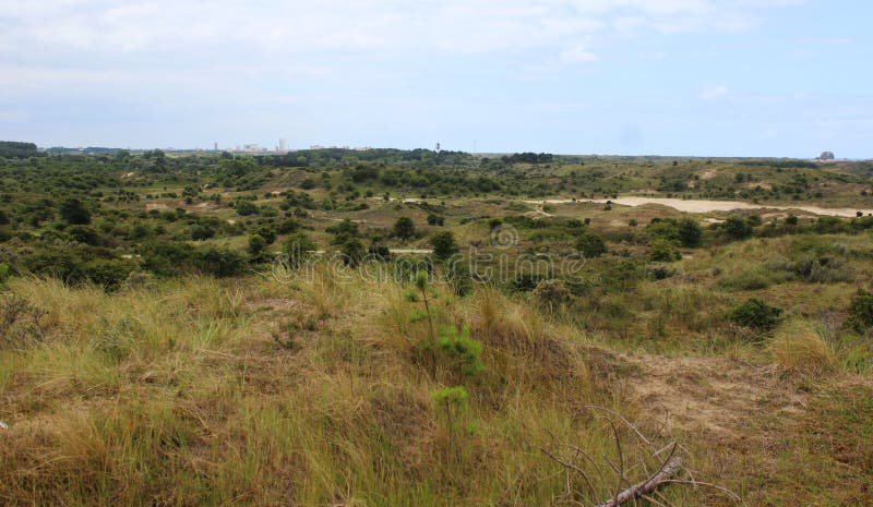 National Park Kennemerland Dunes Stock Photo - Image of bare, dutch ...