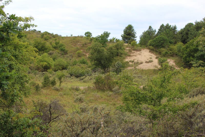 National Park Kennemerland Dunes Stock Image - Image of inundations ...