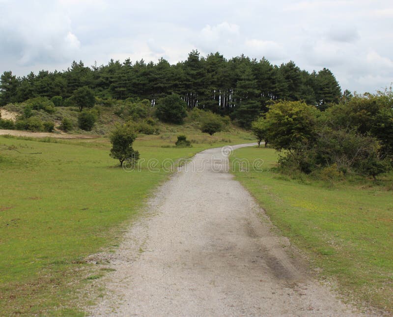 National Park Kennemerland Dunes Stock Photo - Image of jill, dunes ...
