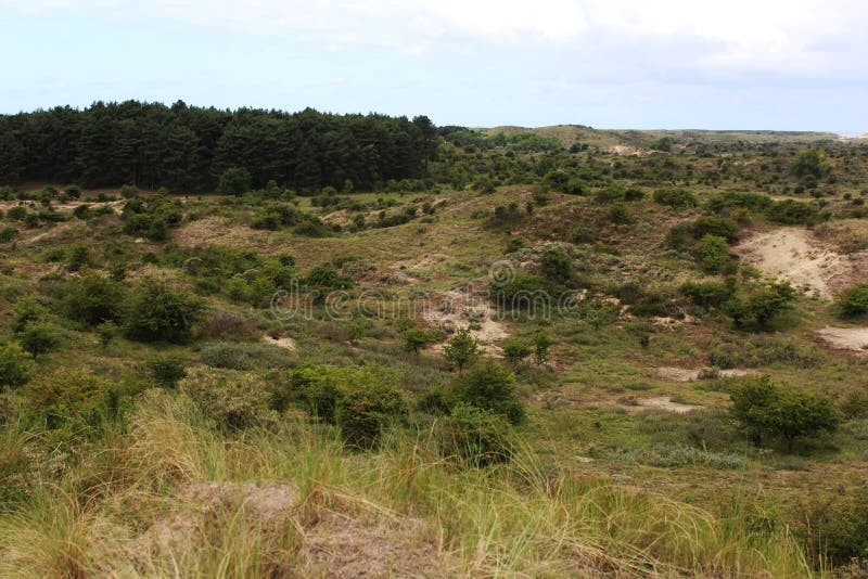 National Park Kennemerland Dunes Stock Image - Image of county, blue ...