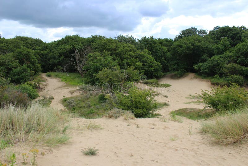 National Park Kennemerland Dunes Stock Photo - Image of nature, north ...