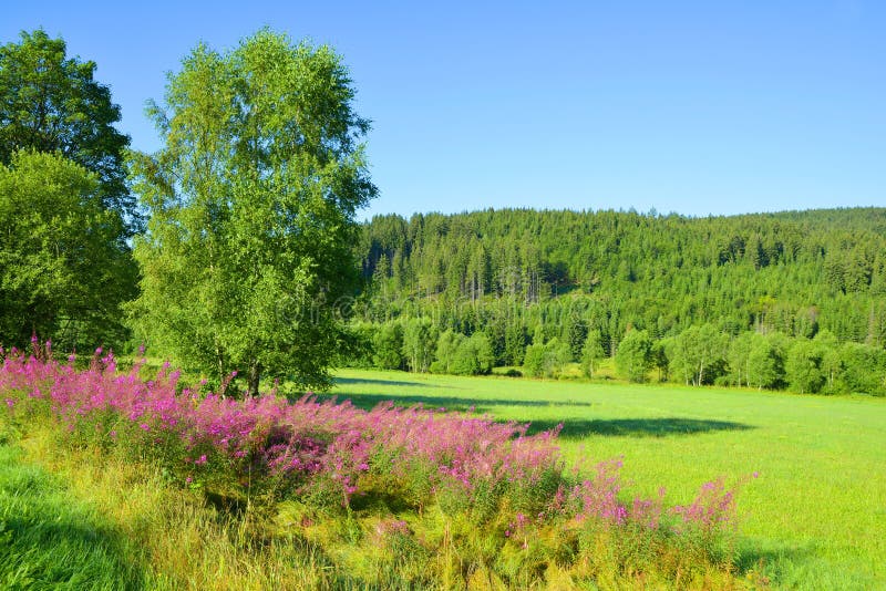 National Park Sumava in the Czech Republic. Stock Image - Image of ... National Park Sumava in the Czech Republic. Stock Image - Image of ...
