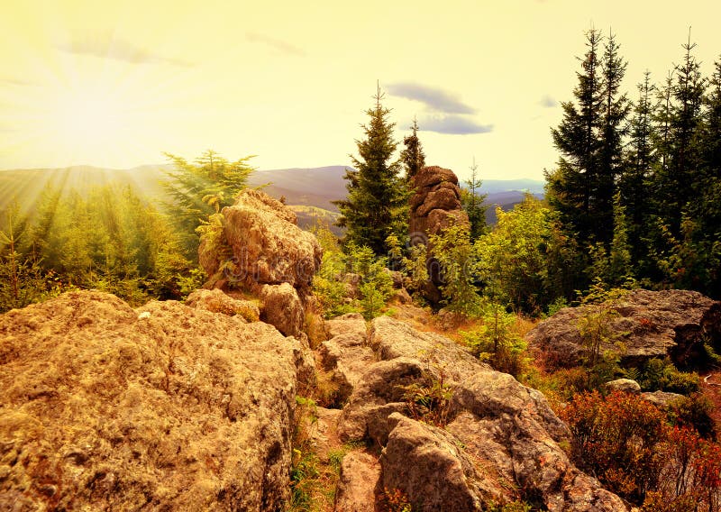 National Park Sumava in Czech Republic Stock Photo - Image of rural ...