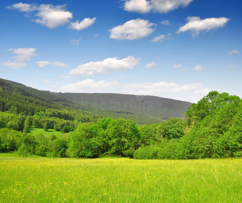 National park Sumava stock image. Image of bright, nature - 31179559