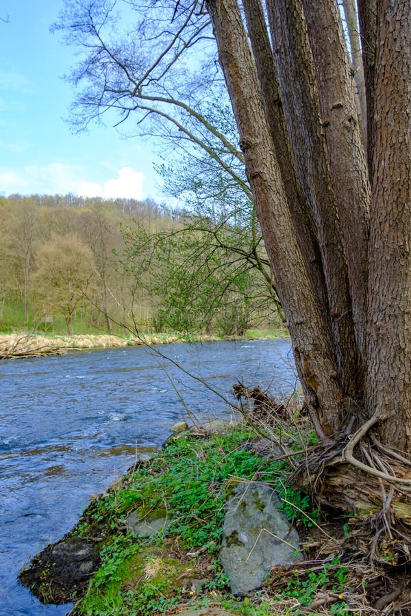 National Park Thayatal in Lower Austria Stock Photo - Image of ...