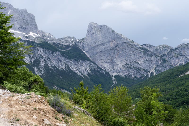 National Park of Thethi, Albania Stock Image - Image of park, flowers ...