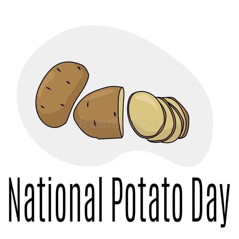 National Potato Day, Whole Root Vegetable and Slicing for Design Stock ...