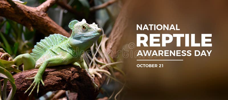 National Reptile Awareness Day Poster Stock Photo Images Stock Photo ...