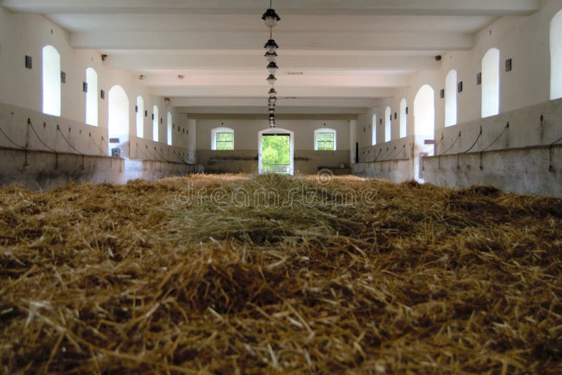 Kladruby Nad Labem Stock Photos - Free & Royalty-Free Stock Photos from ...