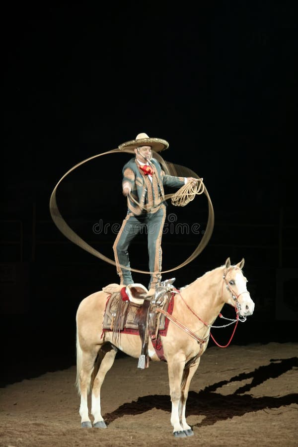 24,293 Stock Show Prizes Stock Photos - Free & Royalty-Free Stock ...