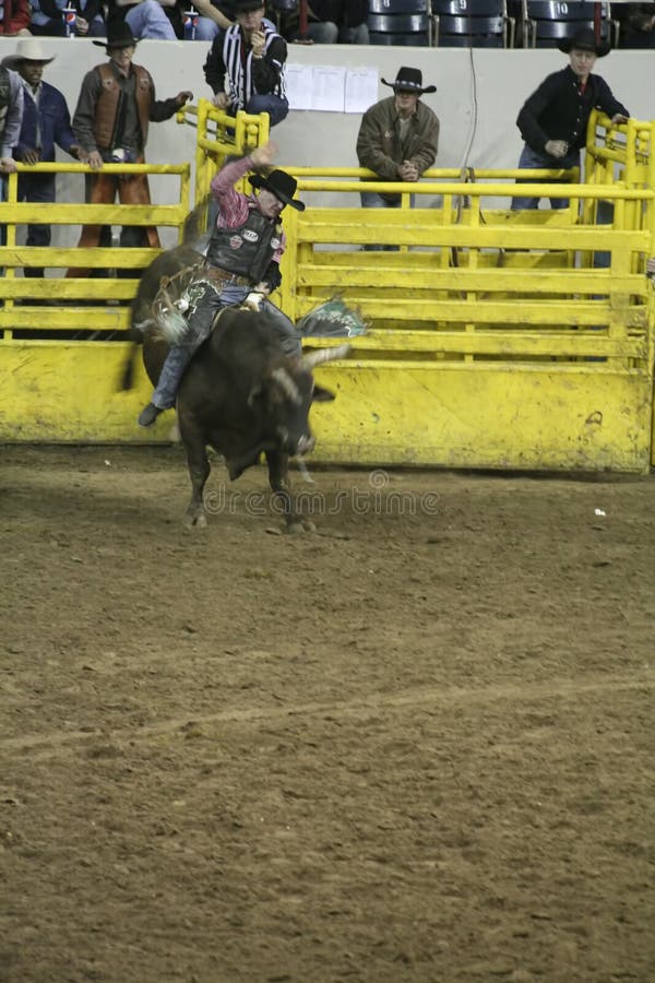 National Western Stock Show - Jerry Diaz Editorial Photography - Image ...