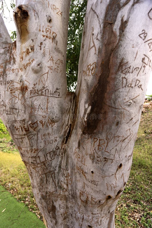 Native Growth Wildlife Habitat Protection Area Sign Stock Image - Image ...