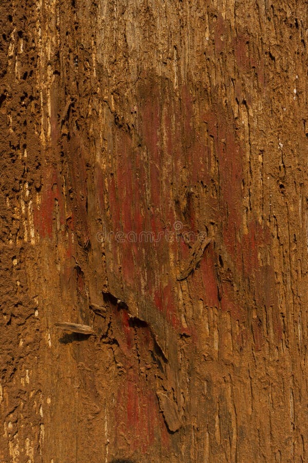 Native Growth Wildlife Habitat Protection Area Sign Stock Image - Image ...