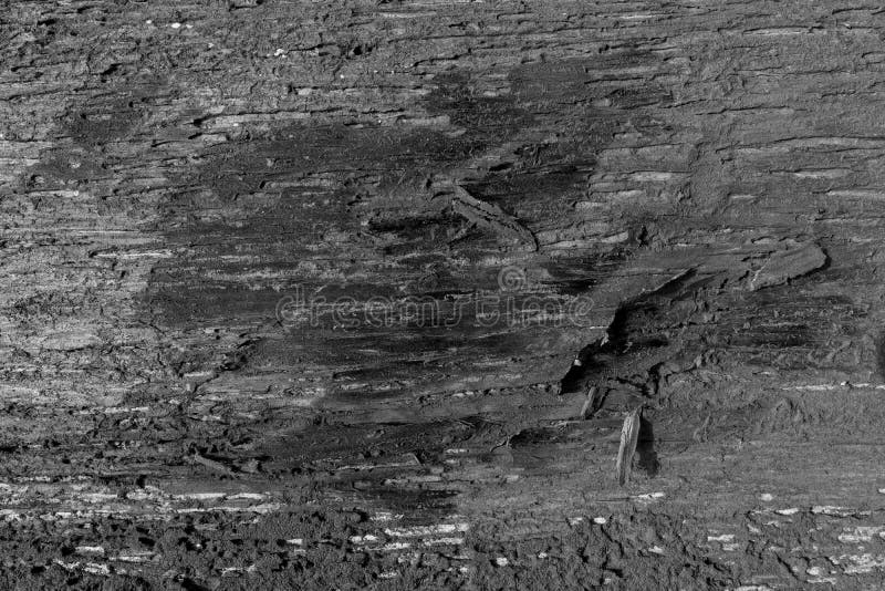 Native Growth Wildlife Habitat Protection Area Sign Stock Image - Image ...