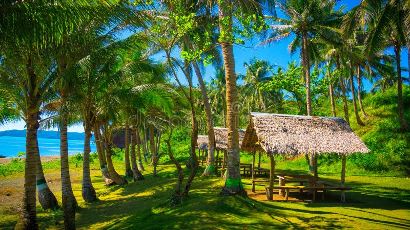 Native House in the Philippines Stock Image - Image of coconuts ...