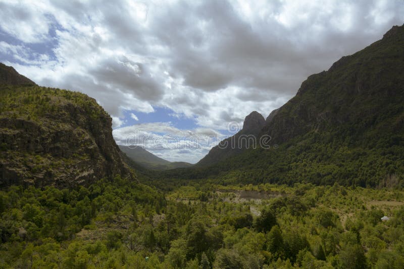 Native Forest between the Mountains Stock Photo - Image of forest, park ...