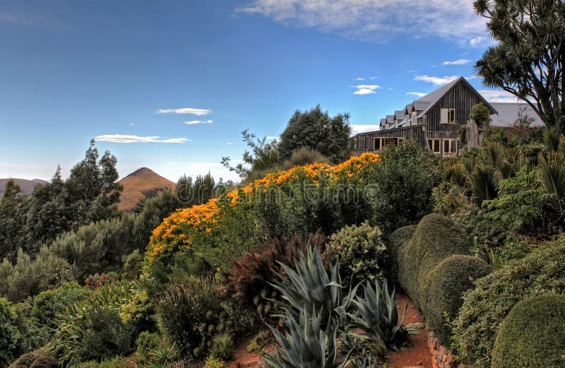 Native garden stock image. Image of agriculture, garden - 20037569