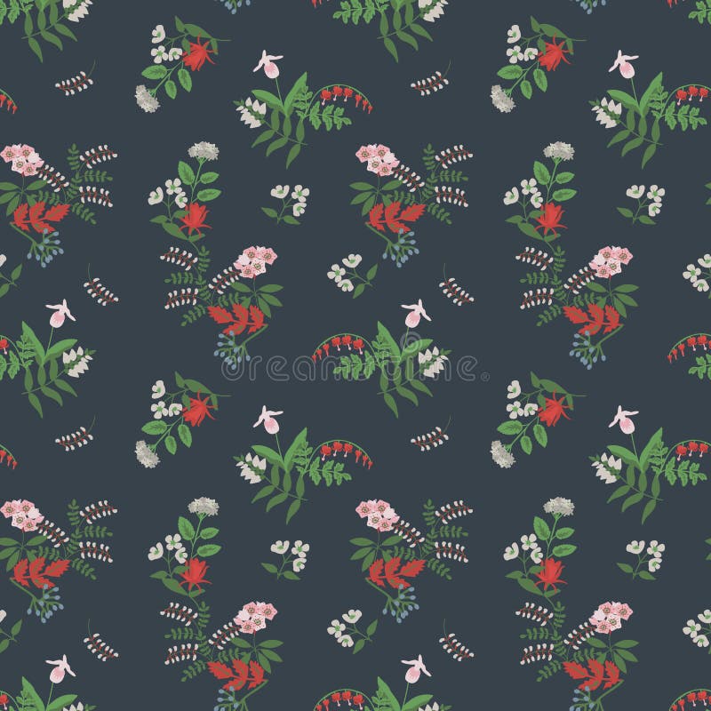 Calicobush Stock Illustrations – 7 Calicobush Stock Illustrations ...